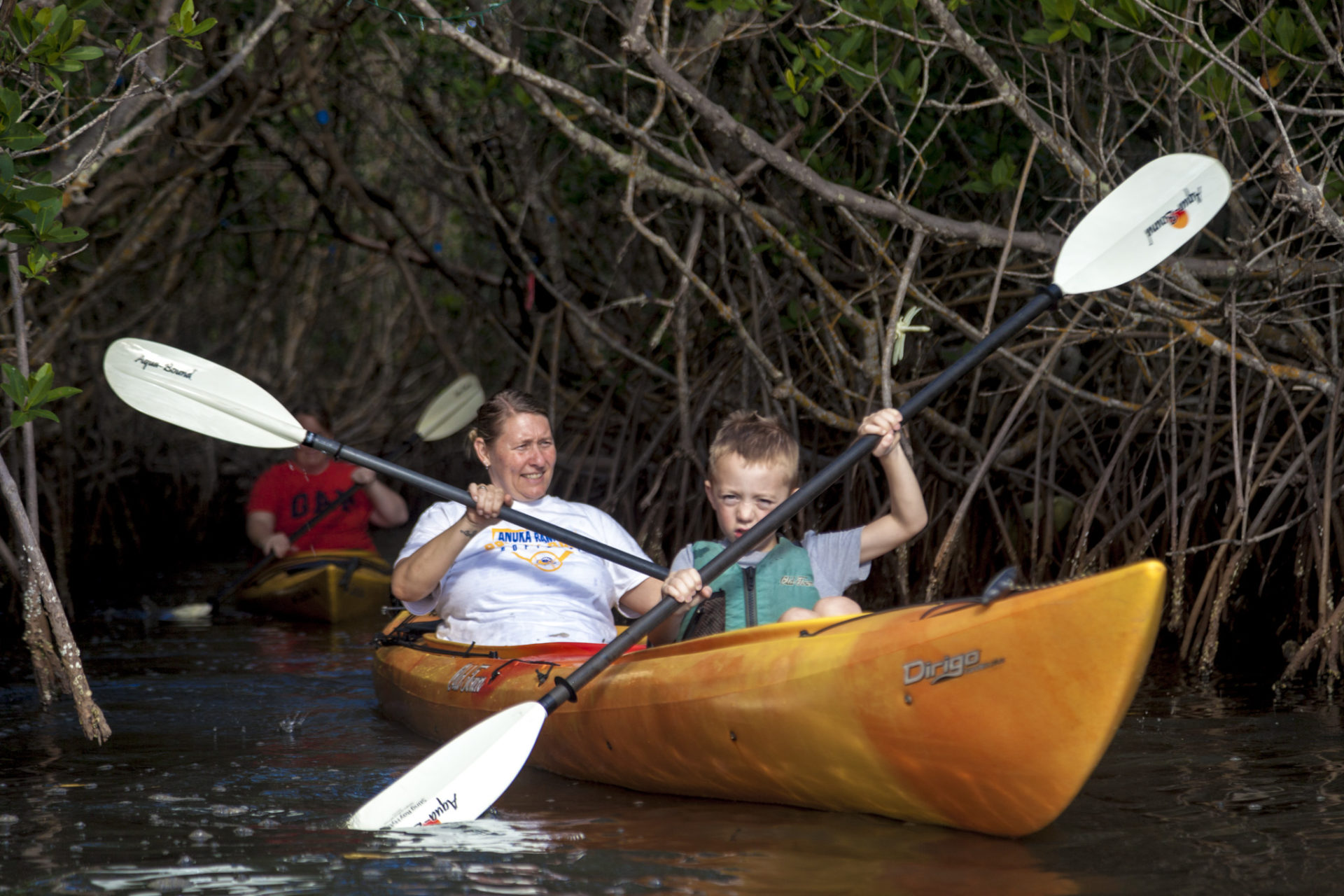 Wabasso Causeway - Adventure Kayaking Tours